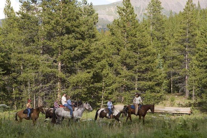 AVA Horseback Riding