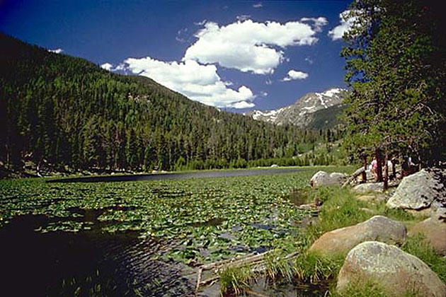 Cub Lake